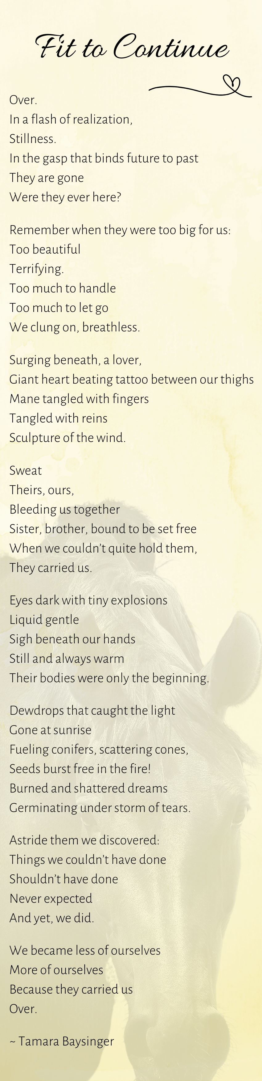 Fit To Continue: A Poem for Endurance Riders Grieving the Loss of a Horse
